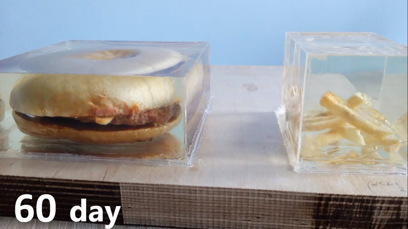 What Happens When You Cast A McDonald’s Cheeseburger and Fries in Resin ...