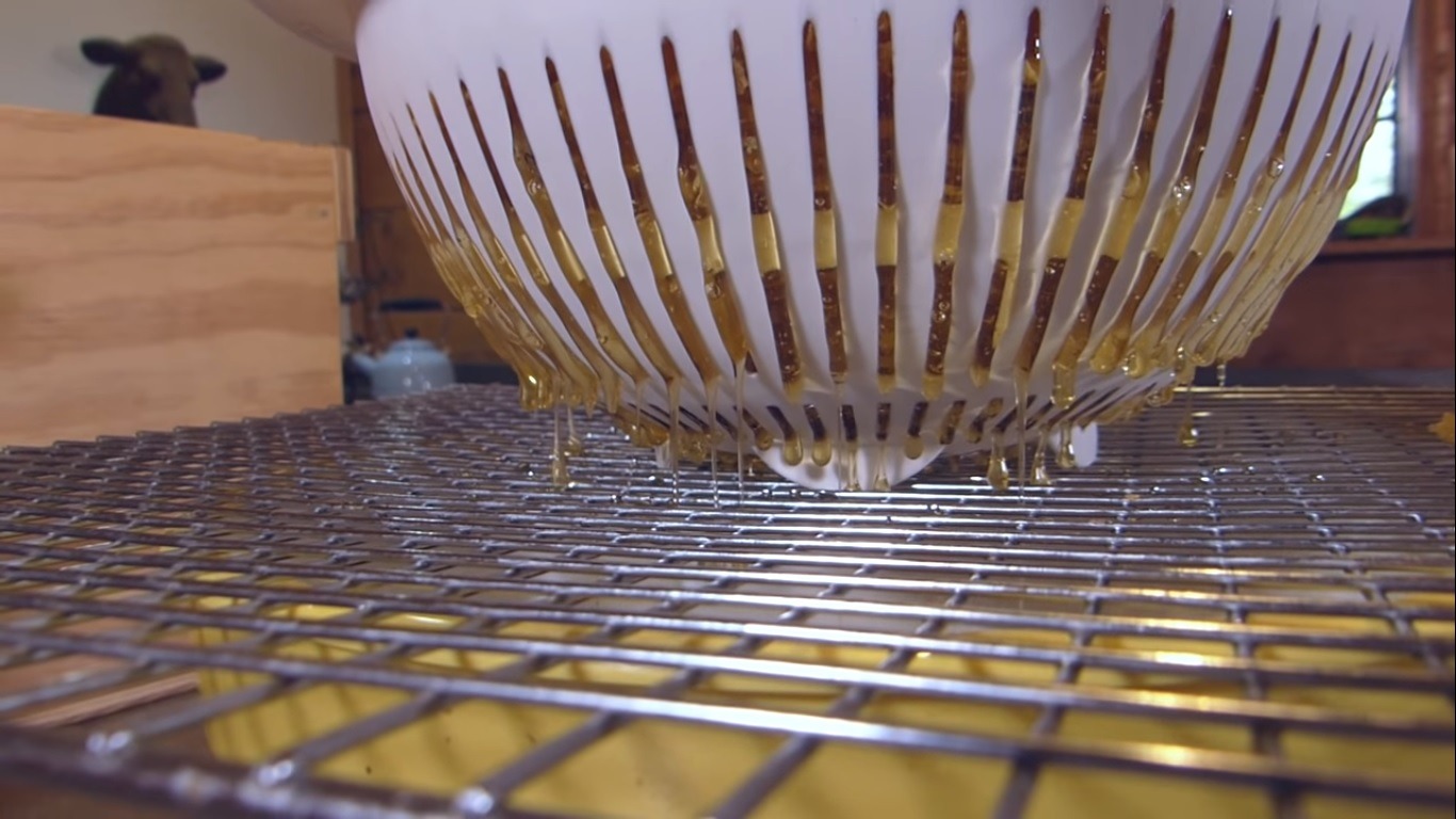 Watch How Honey and Wax are Extracted From Honeycombs - SolidSmack