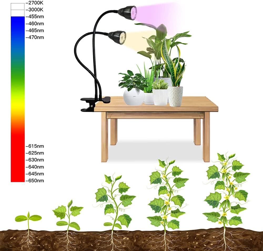 Best LED Grow Lights for Indoor Growers