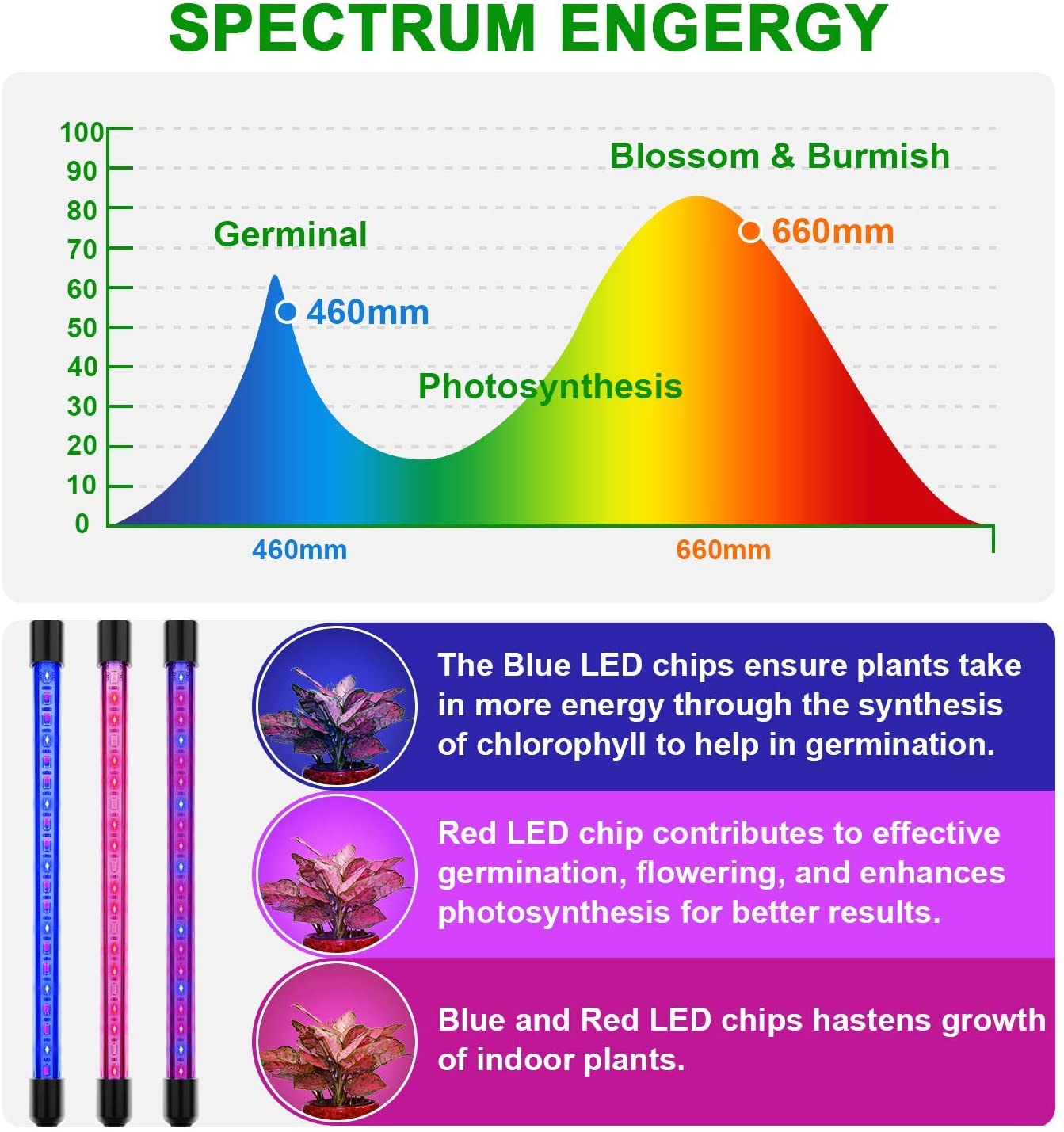 Best LED Grow Lights for Indoor Growers