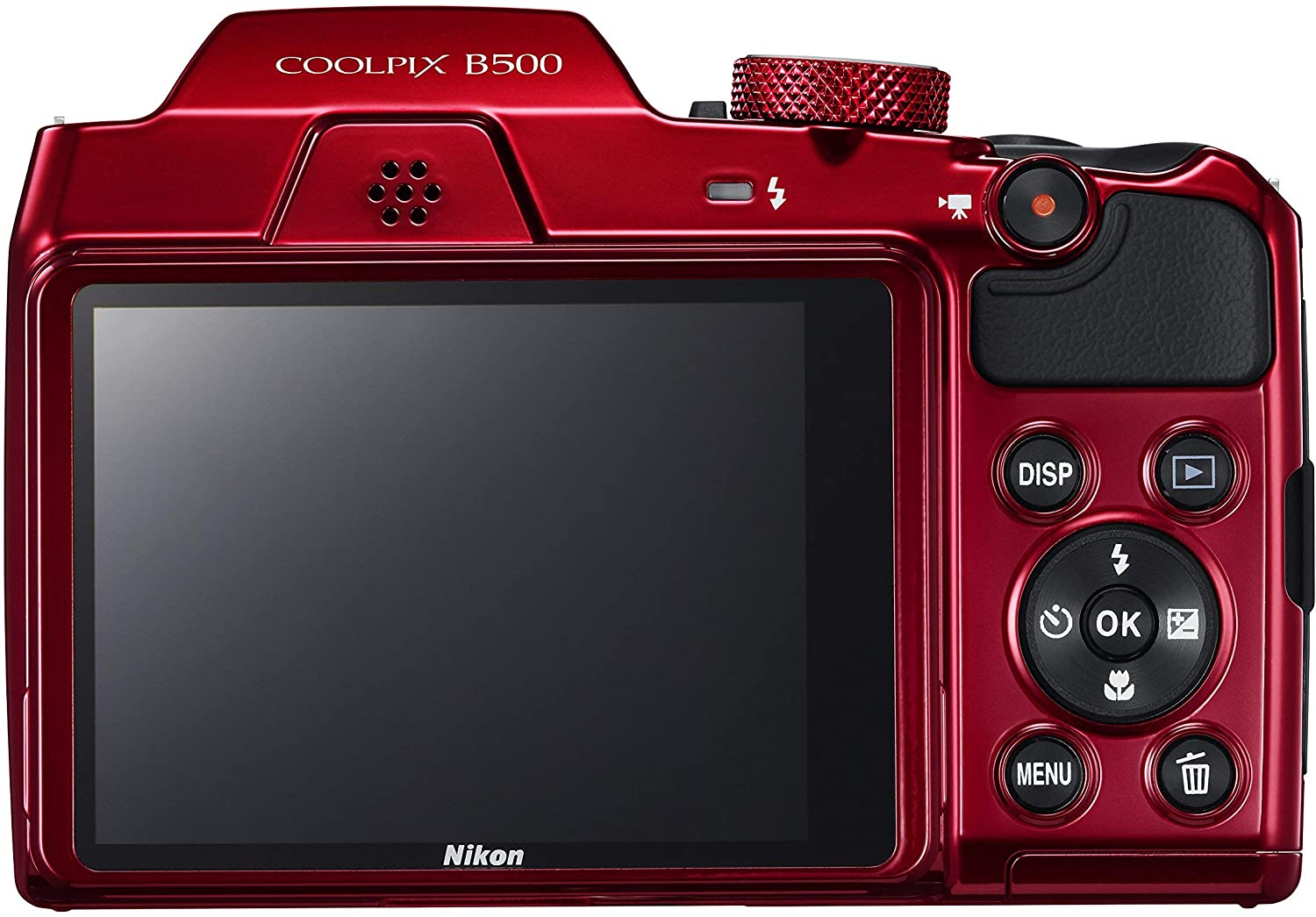 Best Bridge Cameras for Portraits and Wildlife Photography