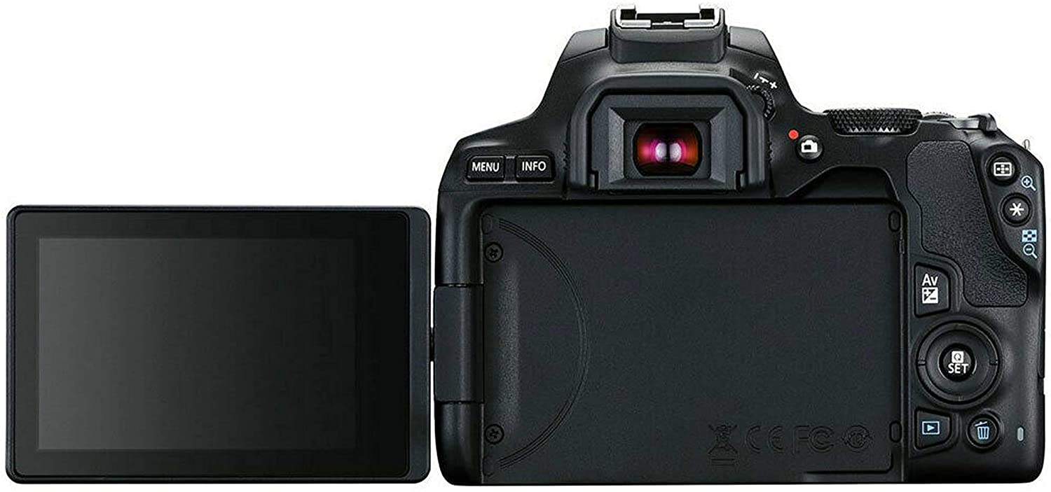 Best Canon DSLR Cameras for Beginners, Enthusiasts, and Pros - 2021 Review