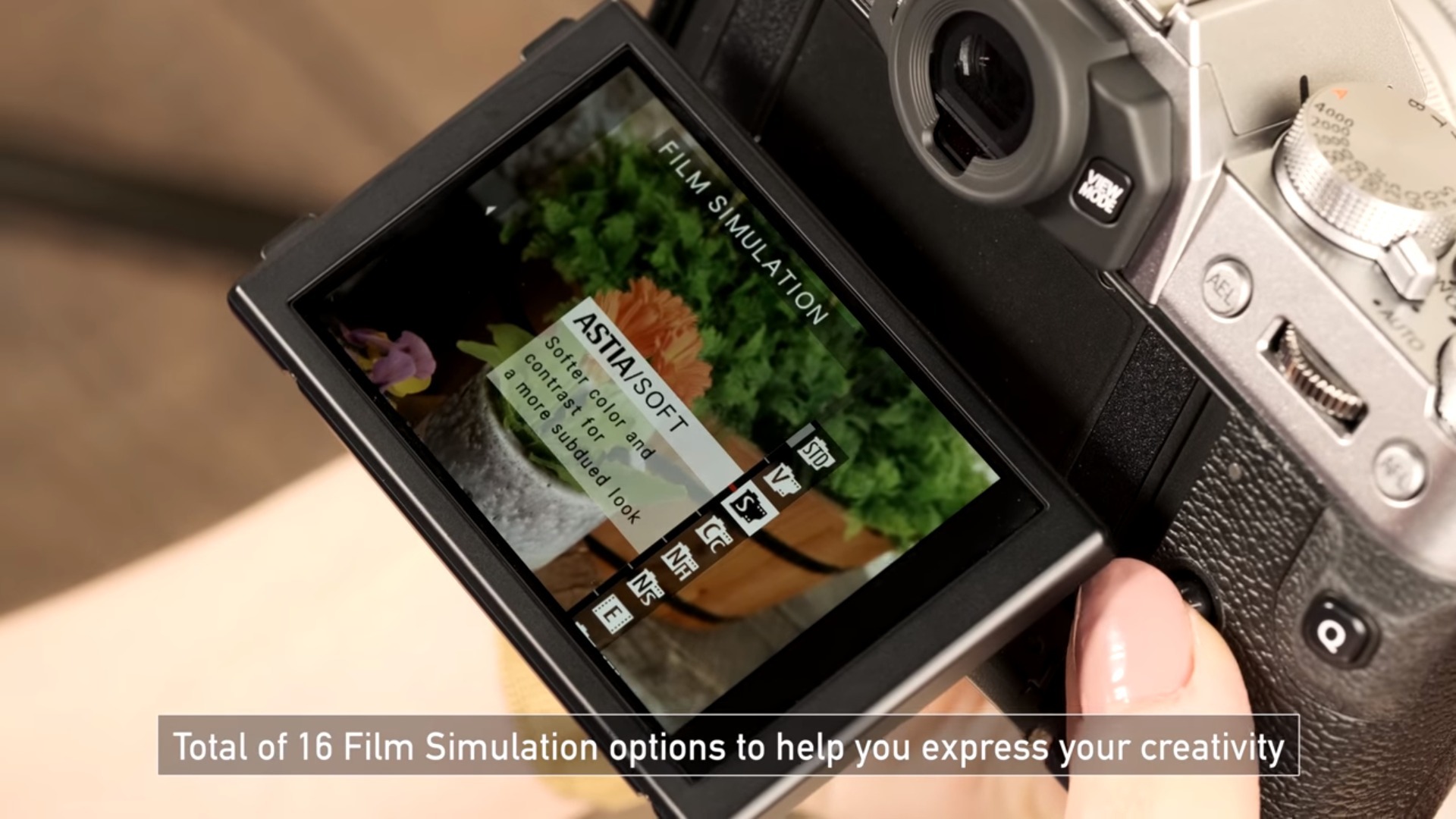 The Best Cameras Under $1000 for All Types of Photographers