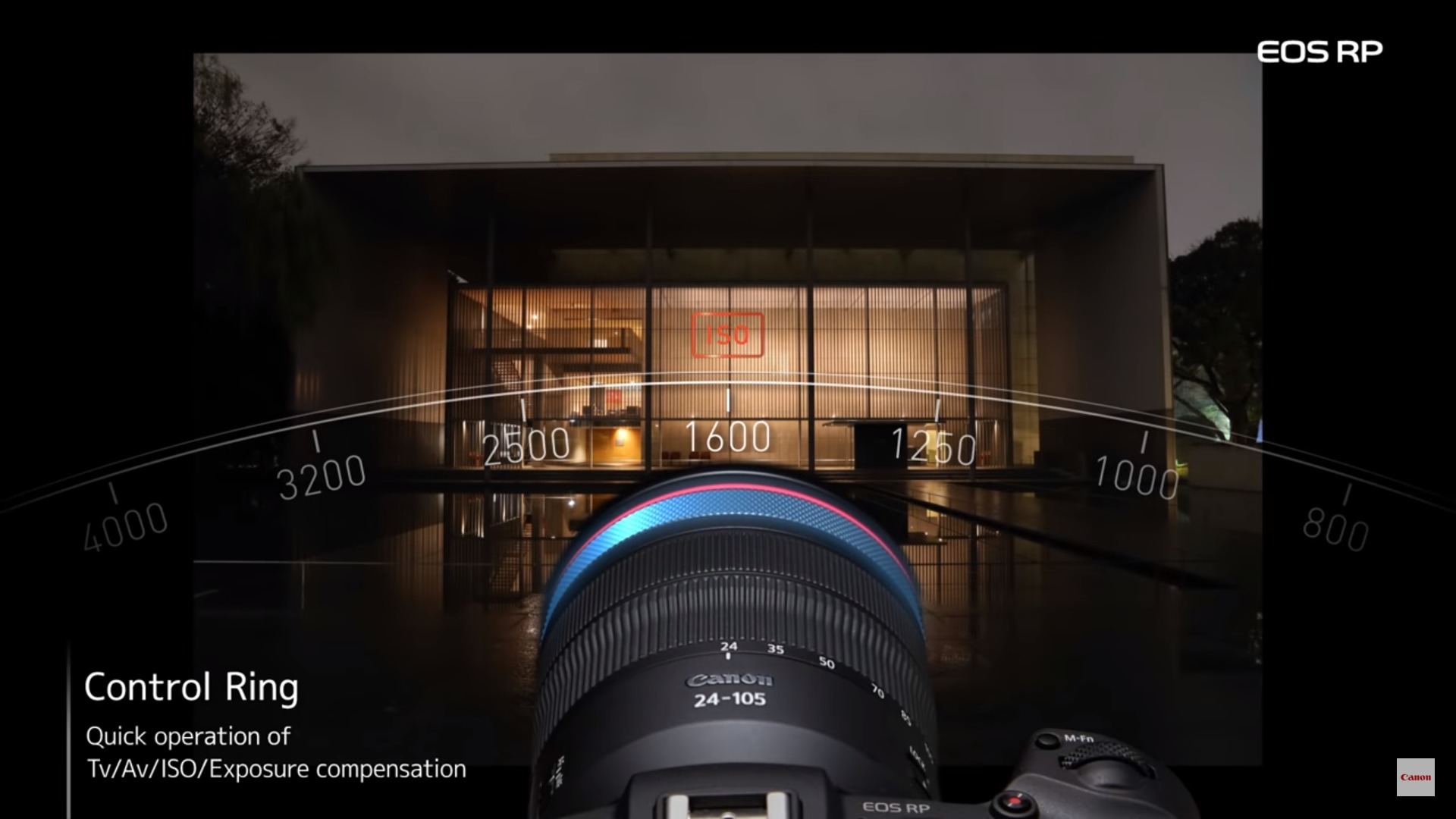 The Best Cameras Under $1000 for All Types of Photographers