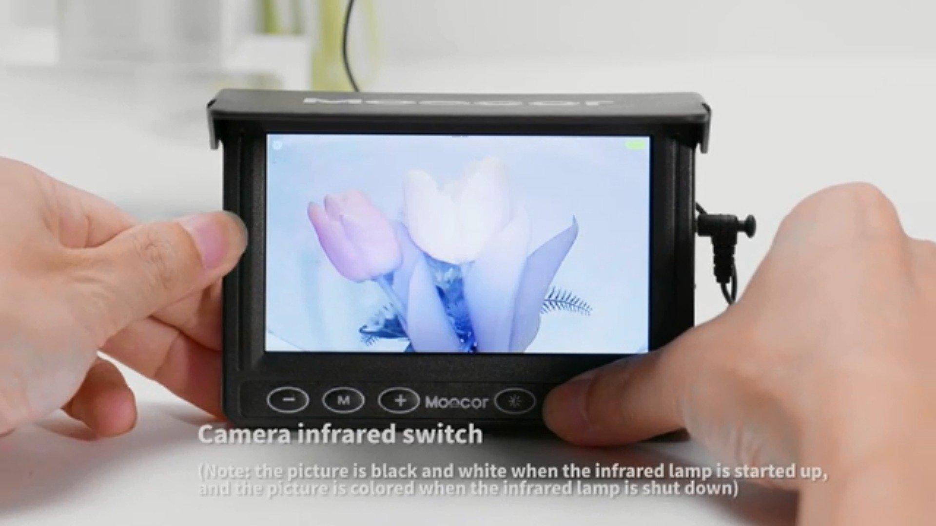 Best Underwater Fishing Cameras This 2021