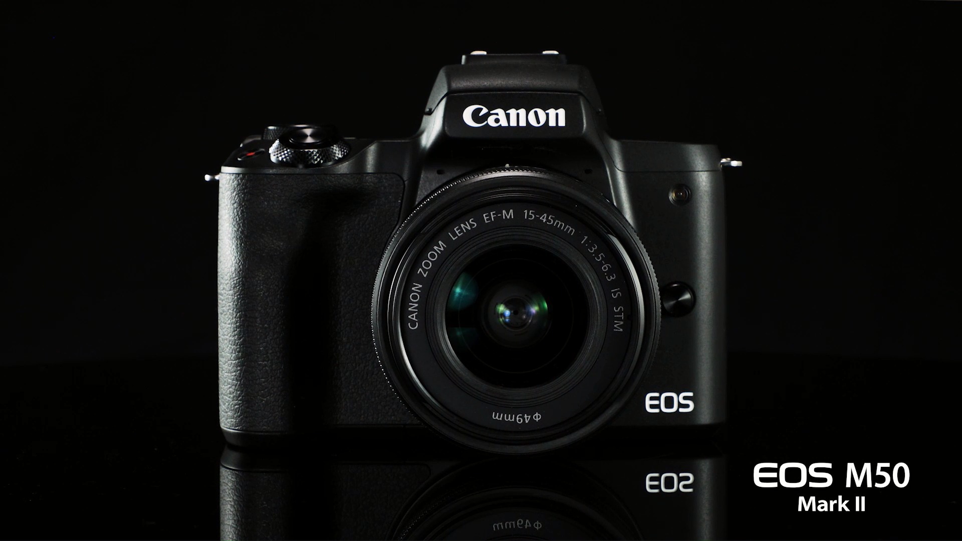 Best Budget Mirrorless Cameras for All Types of Shooters